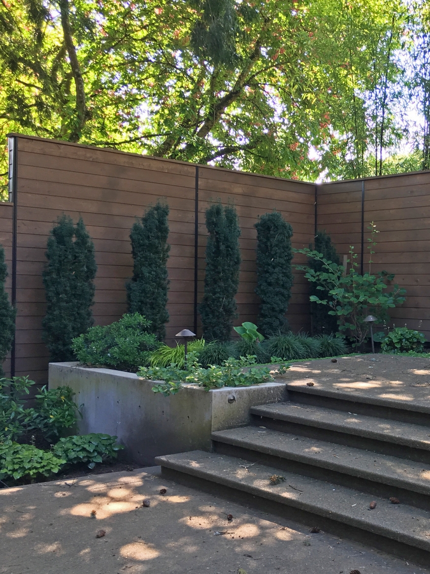 October 27th 2016 Comment