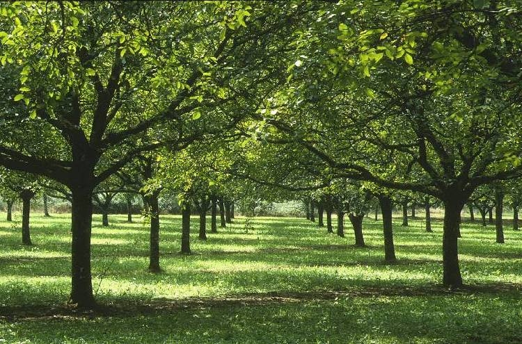 November 25th 2015 Comment